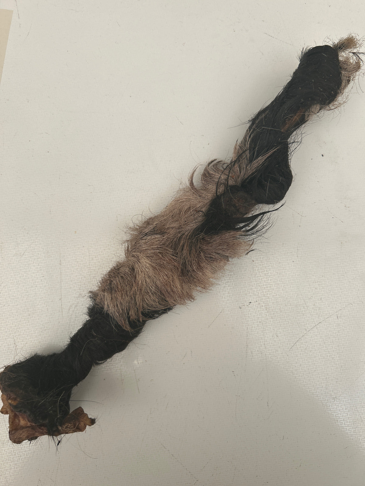 Beef Head Skin 30cm — RheasRaw